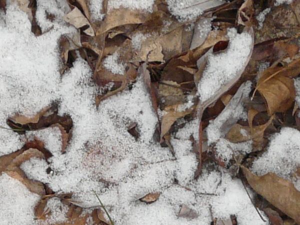 frozen ground texture 0026 - Texturelib